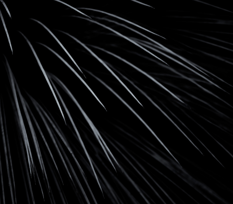 Simple - David Evans Photographer