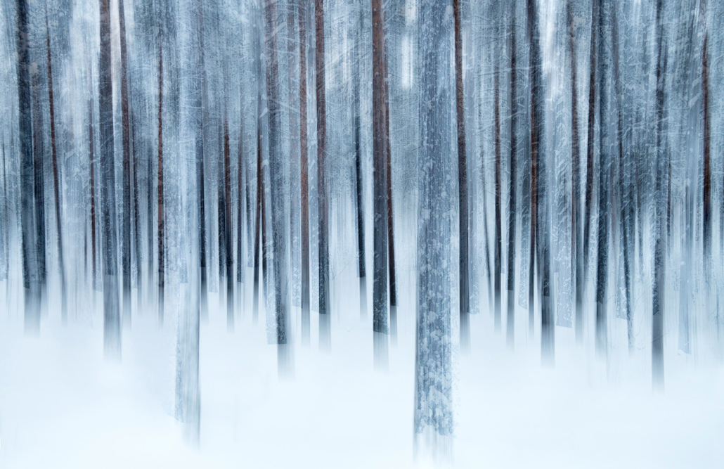 David Evans Photographer